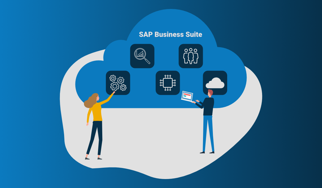 SAP Business Suite: Structure, Licensing, User Types